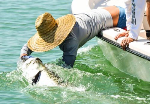 Shaan Pembleton is the 2015 Winner of the 85th Annual Sarasota Tarpon ...