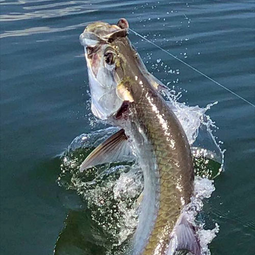 Congratulations to Joe Speary as the Week Three Results are now ...